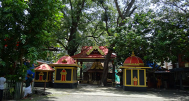 Kanadi Madam Tharavadu Temple, Monsoon festival