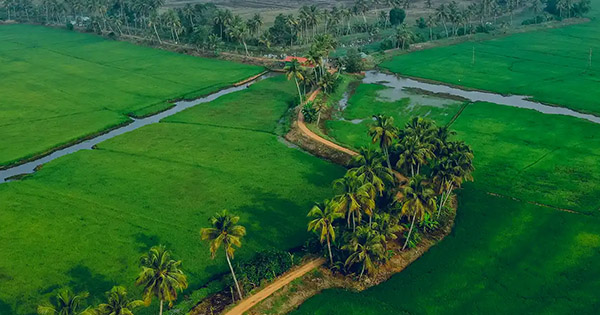 Farm units | Kerala Agri Tourism Network | Responsible Tourism Mission ...