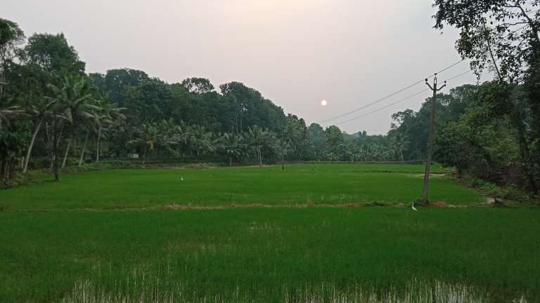 COCONUT VALLEY | Ethnic Cuisine | Responsible Tourism