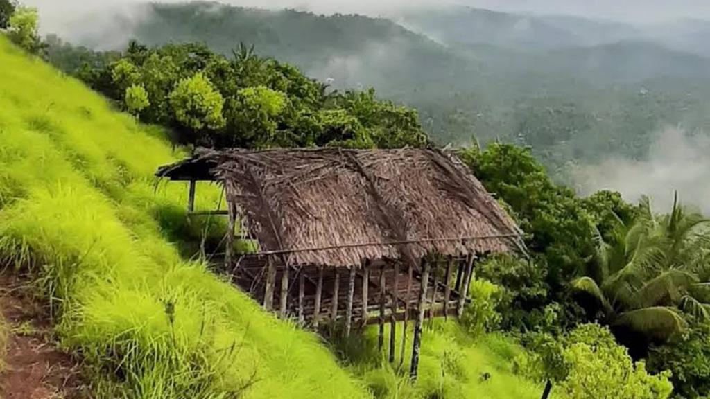 Farm units | Kerala Agri Tourism Network | Responsible Tourism Mission ...