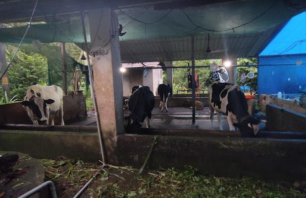 Kallolickal Agro Garden Fram | Kerala Agri Tourism Network ...