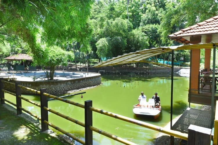 Lake View Farm | Kerala Agri Tourism Network | Responsible Tourism ...