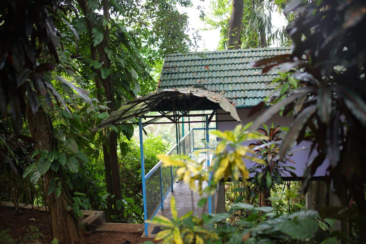 Wonder Valley | Kerala Agri Tourism Network | Responsible Tourism ...