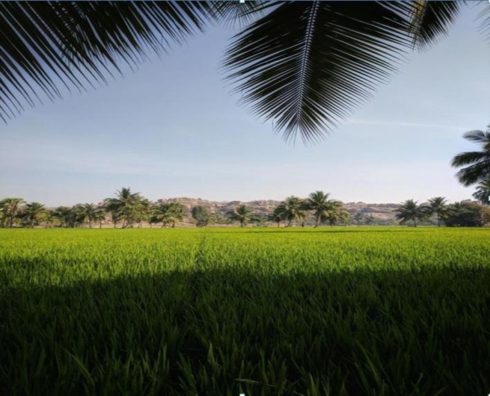 Farm units | Kerala Agri Tourism Network | Responsible Tourism Mission ...