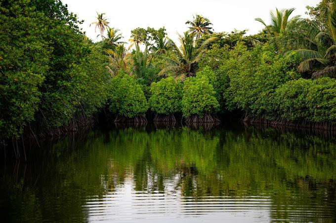 Farm units | Kerala Agri Tourism Network | Responsible Tourism Mission ...