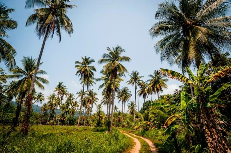 Farm units | Kerala Agri Tourism Network | Responsible Tourism Mission ...