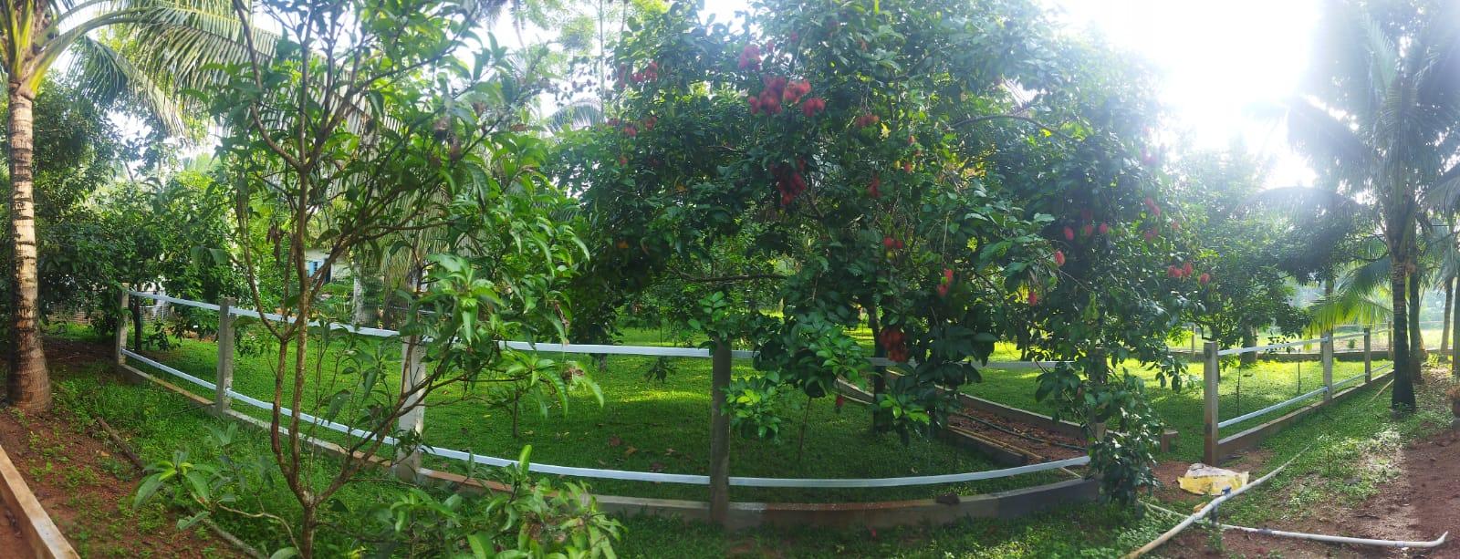 Farm units | Kerala Agri Tourism Network | Responsible Tourism Mission ...